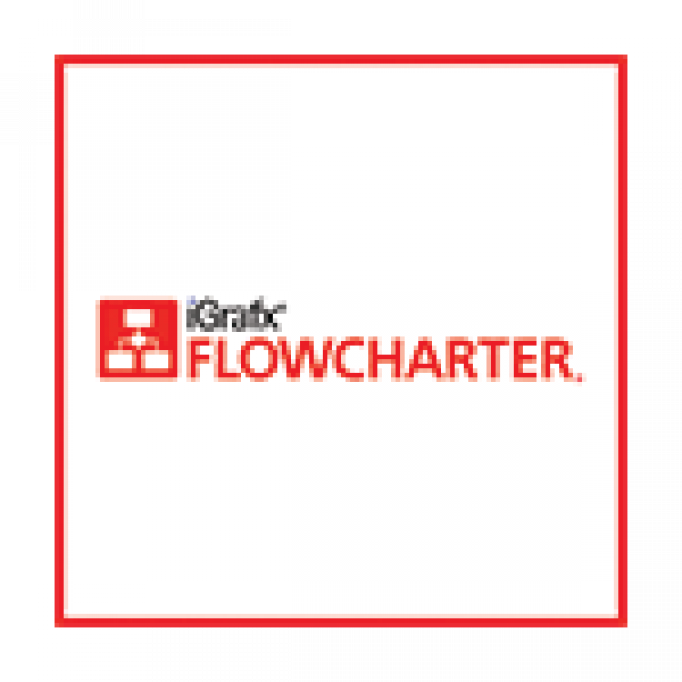 iGrafx FlowCharter скачать на Windows бесплатно