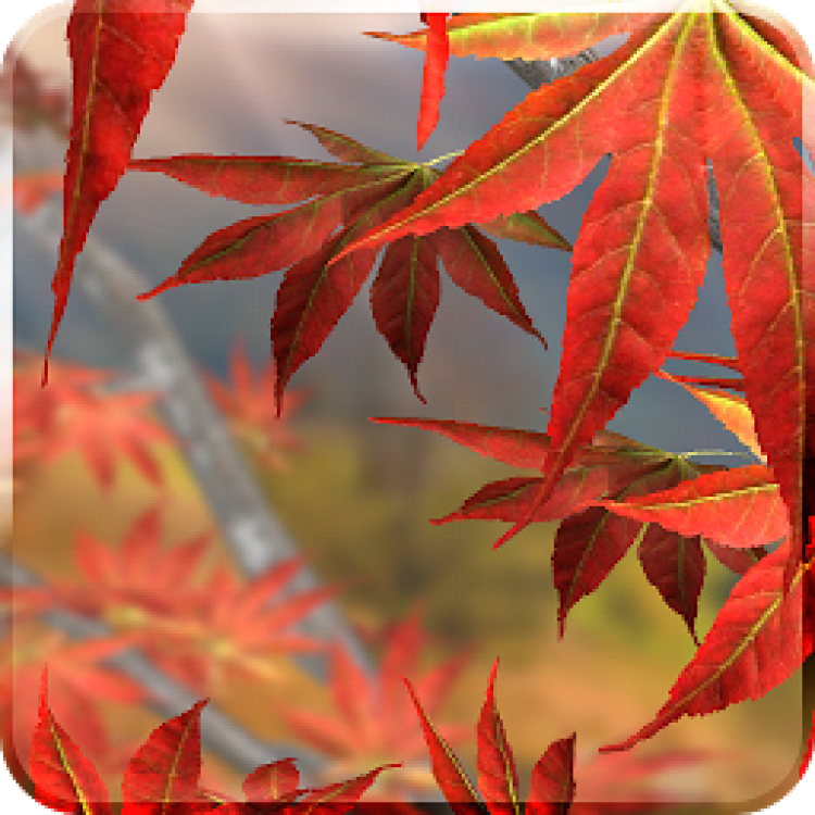 Autumn Tree Free Wallpaper скачать на Android бесплатно