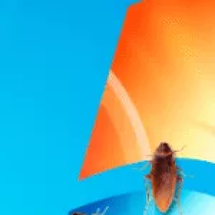 Drive Software Cockroach on Desktop скачать на Windows бесплатно