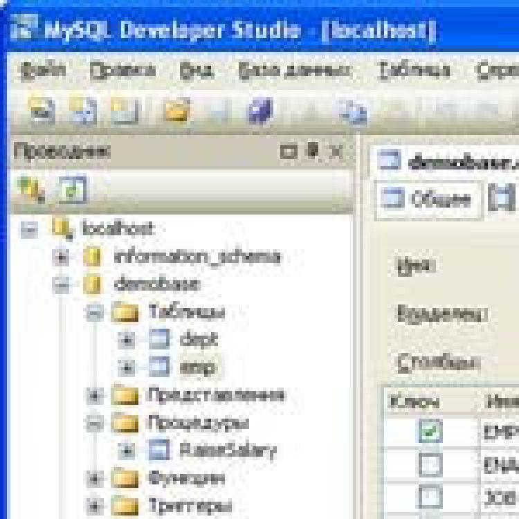 MySQL Developer Studio скачать на Windows бесплатно