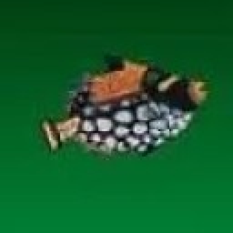 Aqua Real скачать на Windows бесплатно