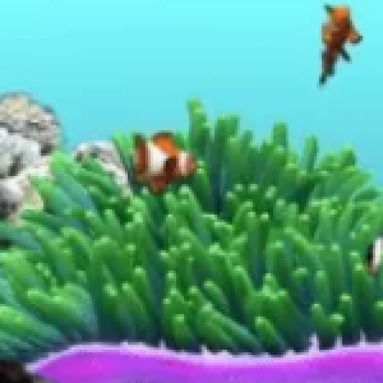 DigiFish Clownfish скачать на Windows бесплатно